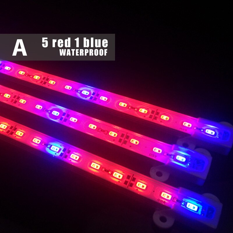 2 Stuks Led Grow Light 0.5M DC12V IP68 Waterdichte... – Grandado