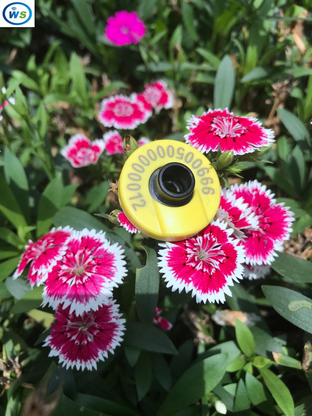 20pairs best 134.2KHz LF RFID tags Animal ear tag ... – Grandado