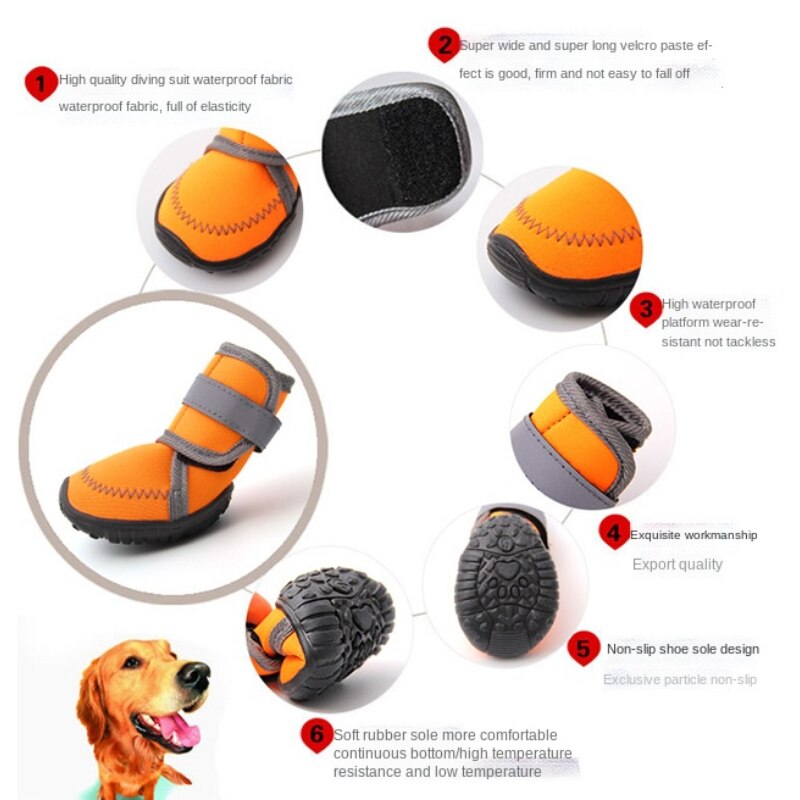 Four-way Stretch Pet Shoes Dogs Multicolor Shoes a... – Grandado