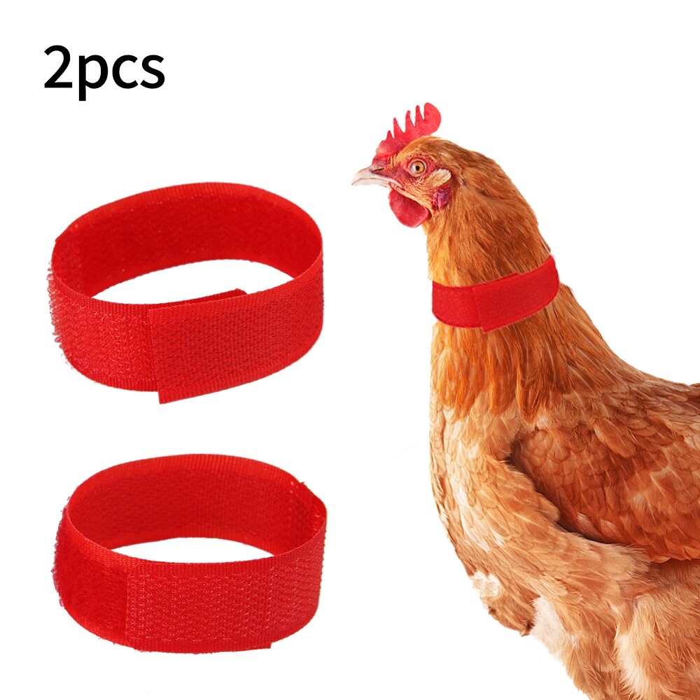2PCS Chicken Collar -Hook Noise Free Neckband Coll... – Grandado