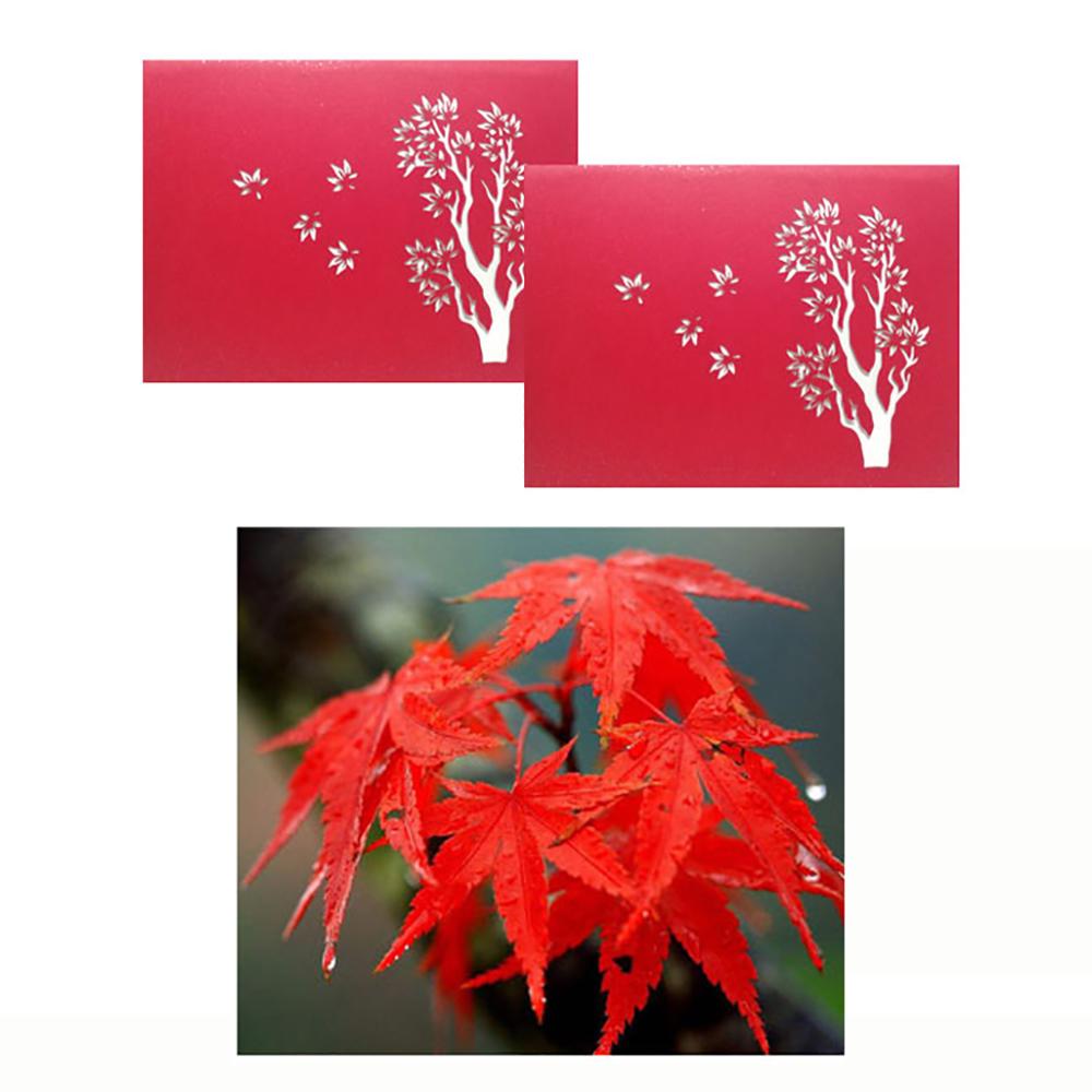 3D Maple Greeting Card--Exquisite Paper Cut in Gre... – Grandado