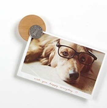 Massivt træ magnetisk lim krog væg magnet ikke mær... – Grandado