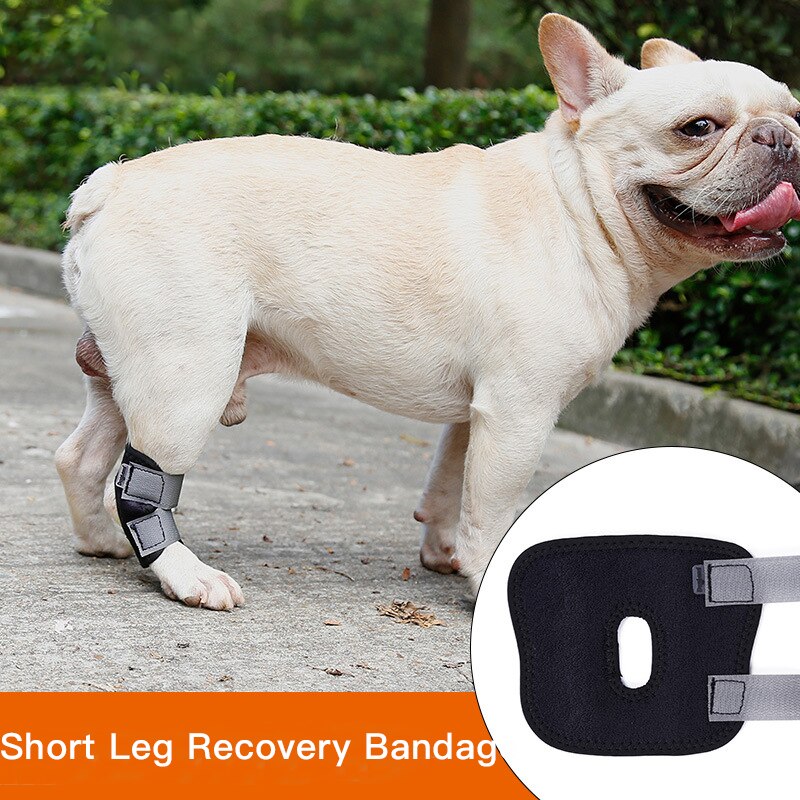 1Pc Dog Canine Rear Leg Knee Brace Hock Joint Wrap... – Vicedeal