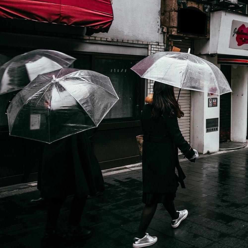 Transparent Automatic Open Close Fold Windproof Um... – Grandado