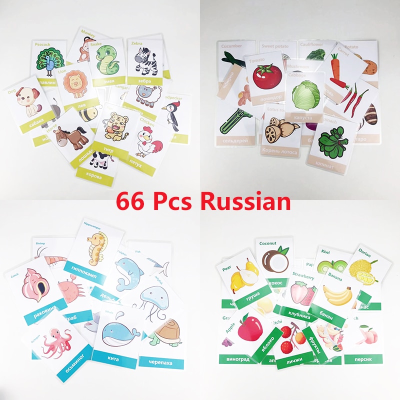 66Pcs Kids Russian& English Animals/Fruit/vegetabl... – Grandado