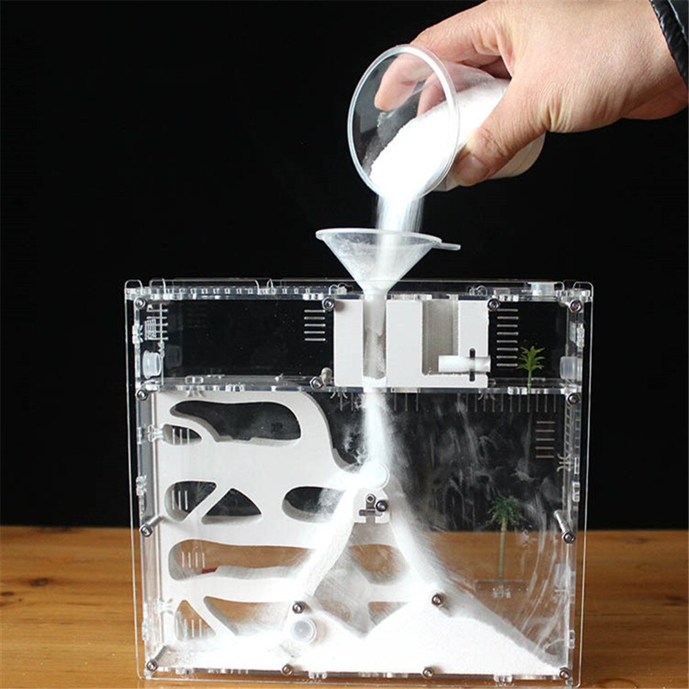 Expandable Ant Castle Four-story Ant Farm Room Dou... – Grandado
