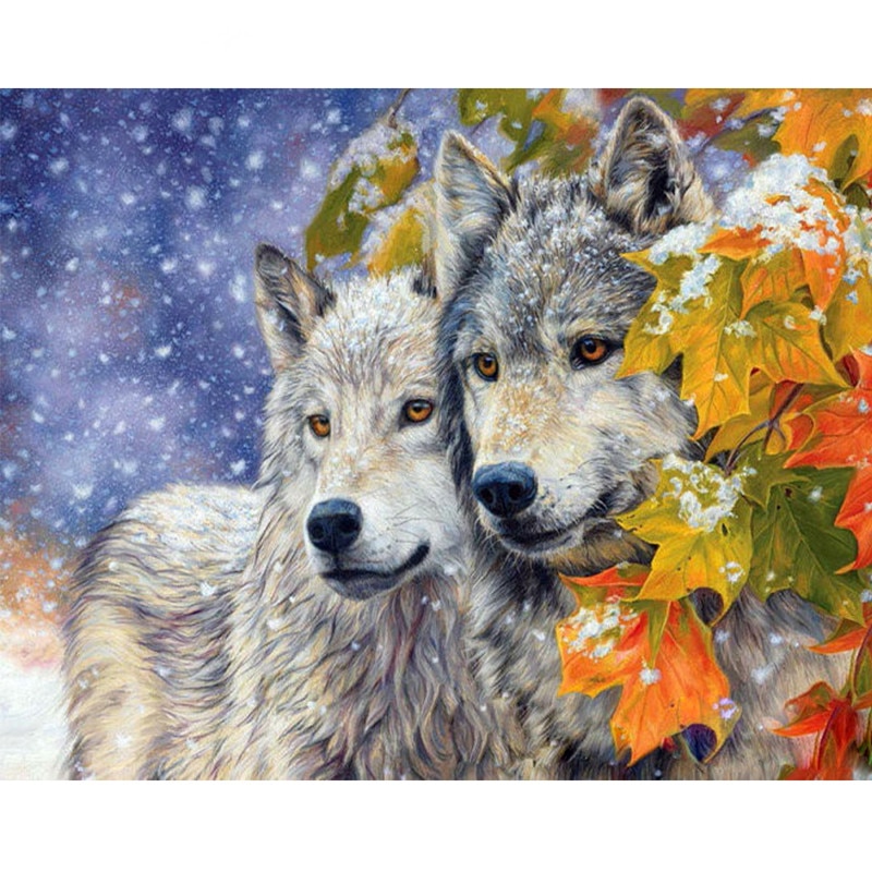 Two wolves.40x50cm,Painting By Numbers,DIY,wall Ar... – Vicedeal