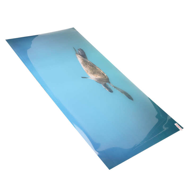 Aquarium Background Paper Self Adhesive Fish Tank ... – Grandado