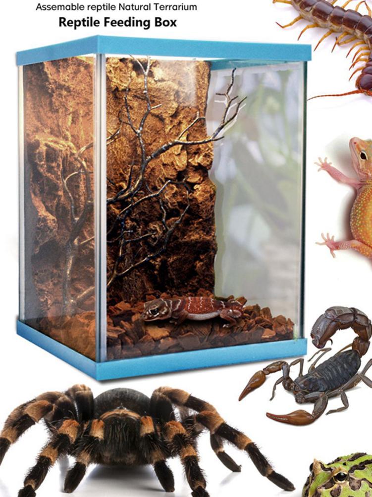 Reptile Glass Terrarium Amphibians Feeding Box Tra... – Vicedeal