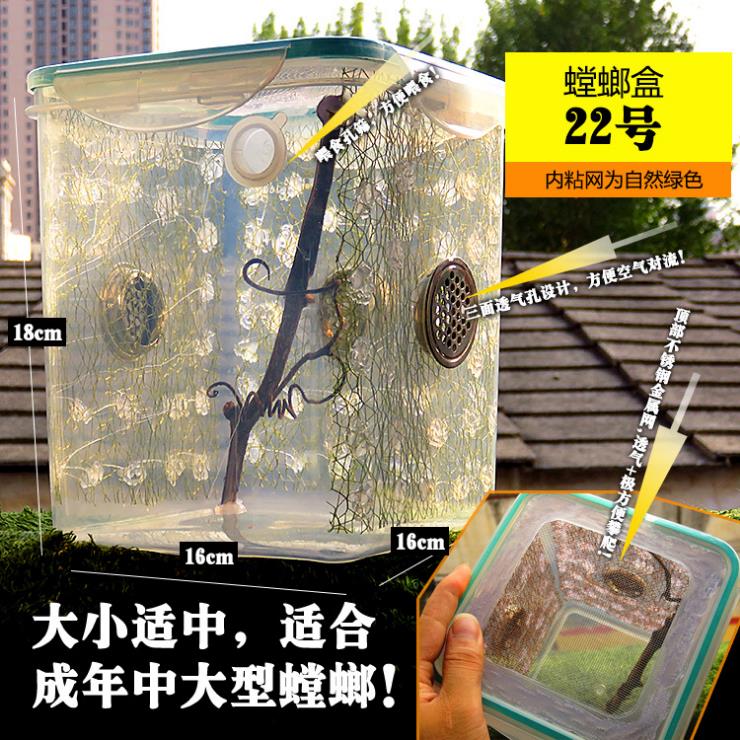 Plastic cubic mantis box crystal insect tank littl... – Vicedeal