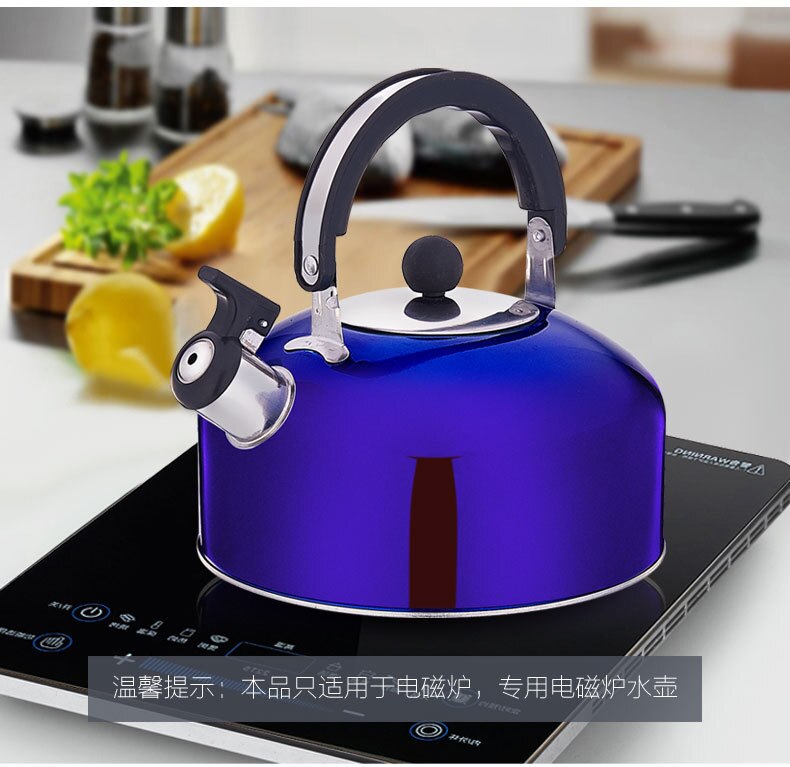 Whistle Kettle Stainless Steel Flat Bottom Inducti... – Grandado
