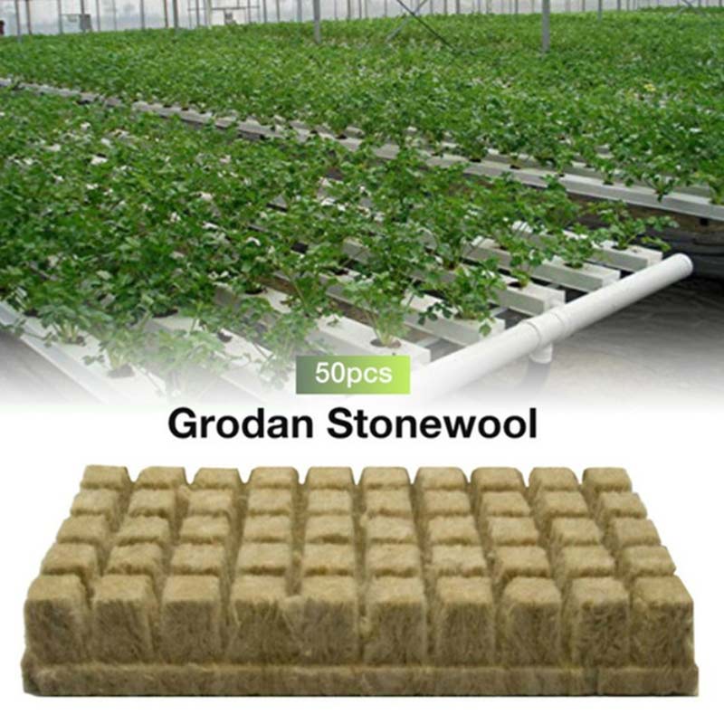 50/100pcs Rockwool Sheet Block Propagation Cloning... – Grandado
