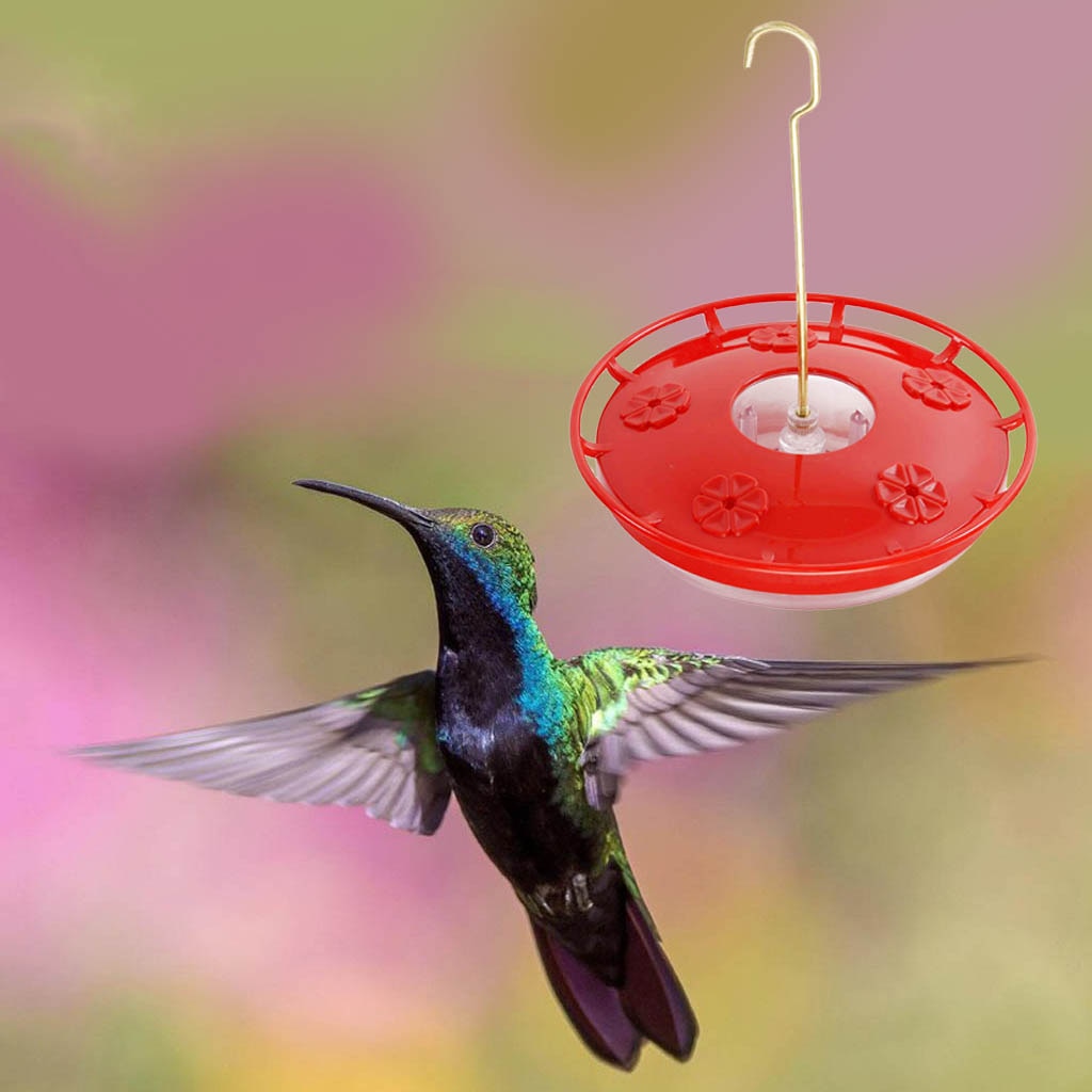 Hummingbird Feeder Outdoor Indoor Garden Patio Bir... – Grandado