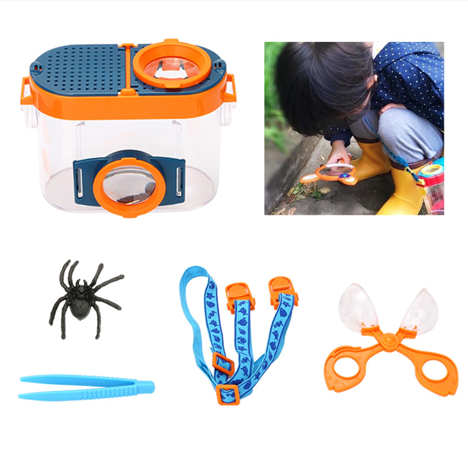 Insect Bug Viewer Exploration Toy Kid Children Edu... – Vicedeal