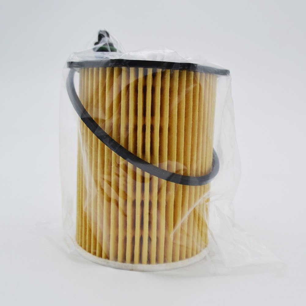 Set Of 10, 1109AY Oil Filter For Citroen C1 C5 Xsara Ford B-MAX Focus ...