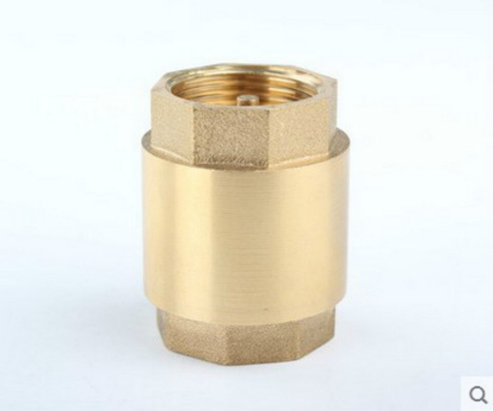 1/2" BSPP One-way Spring Vertical Check Valve... – Vicedeal