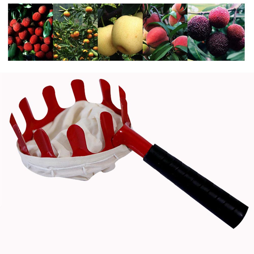 Outdoor Useful Fruit Picker Apple Orange Peach Pea... – Vicedeal