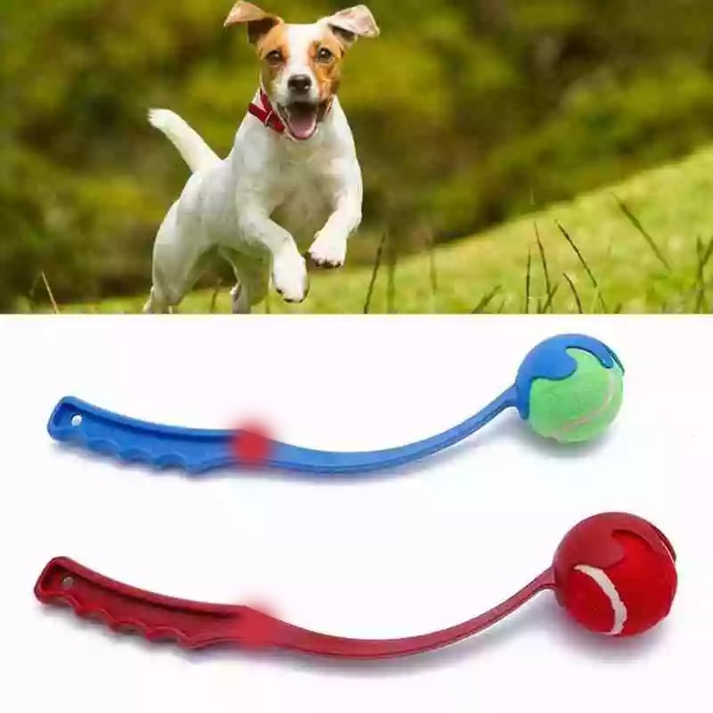 Pet throwing sticks and dog training toy pitchers ... – Vicedeal