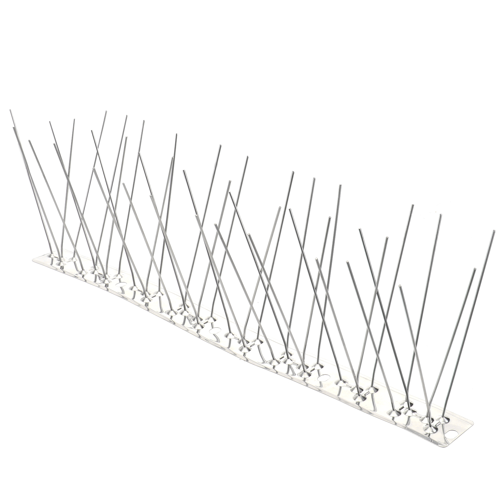 Bird Spikes Stainless Steel Anti-Bird Prevent Bird... – Grandado