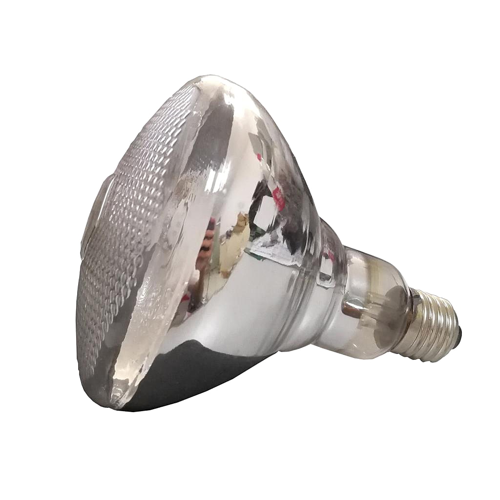 petsola 220V-240V 250W Infra-red Heat Bulb Lamp Wh... – Grandado