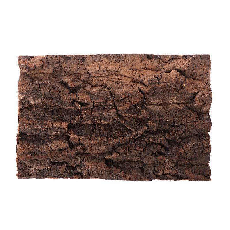 30x20cm Champagne Cork Bark Reptile Breeding Box P... – Vicedeal