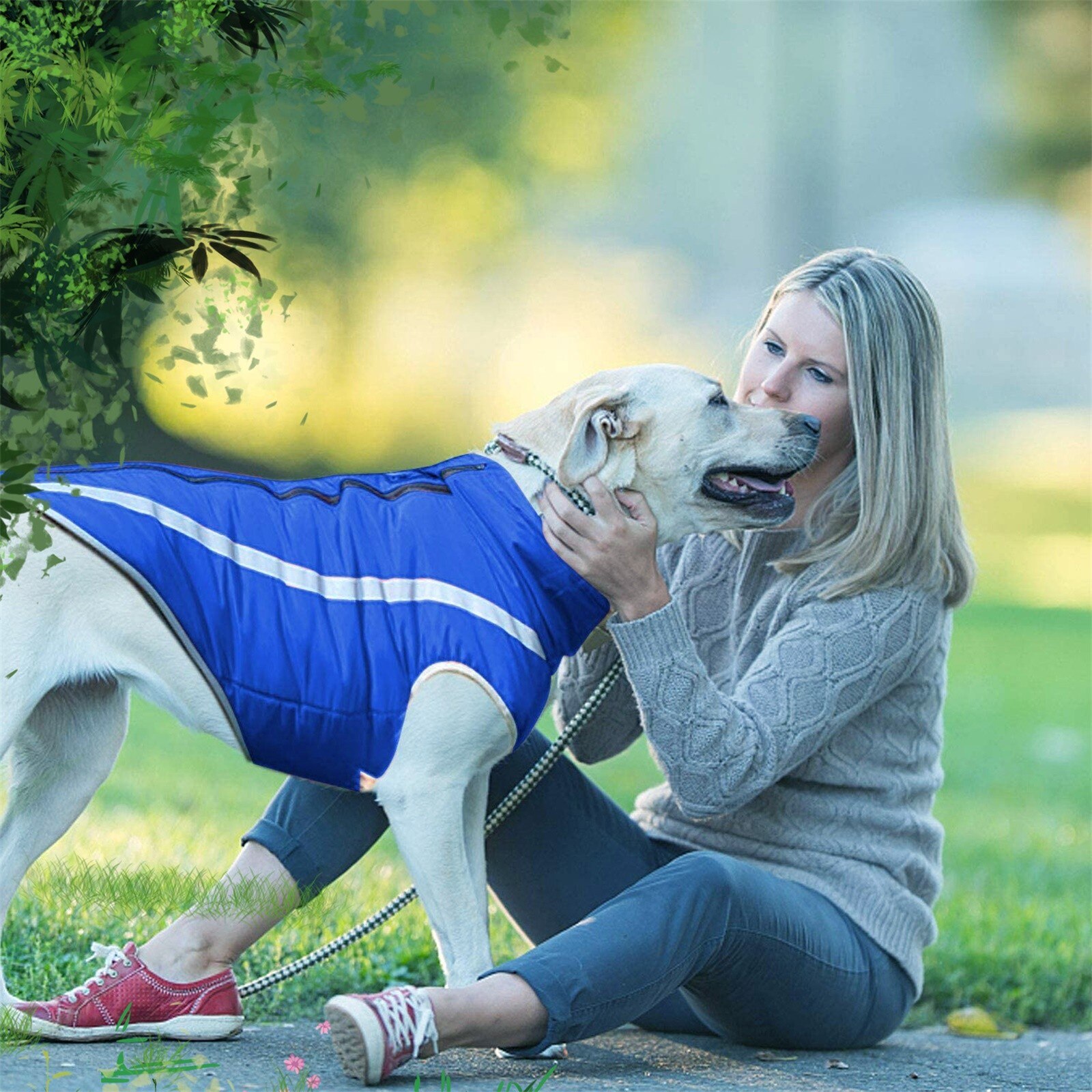 dog clothes trend Dog Clothing Warm Autumn Winter ... – Grandado