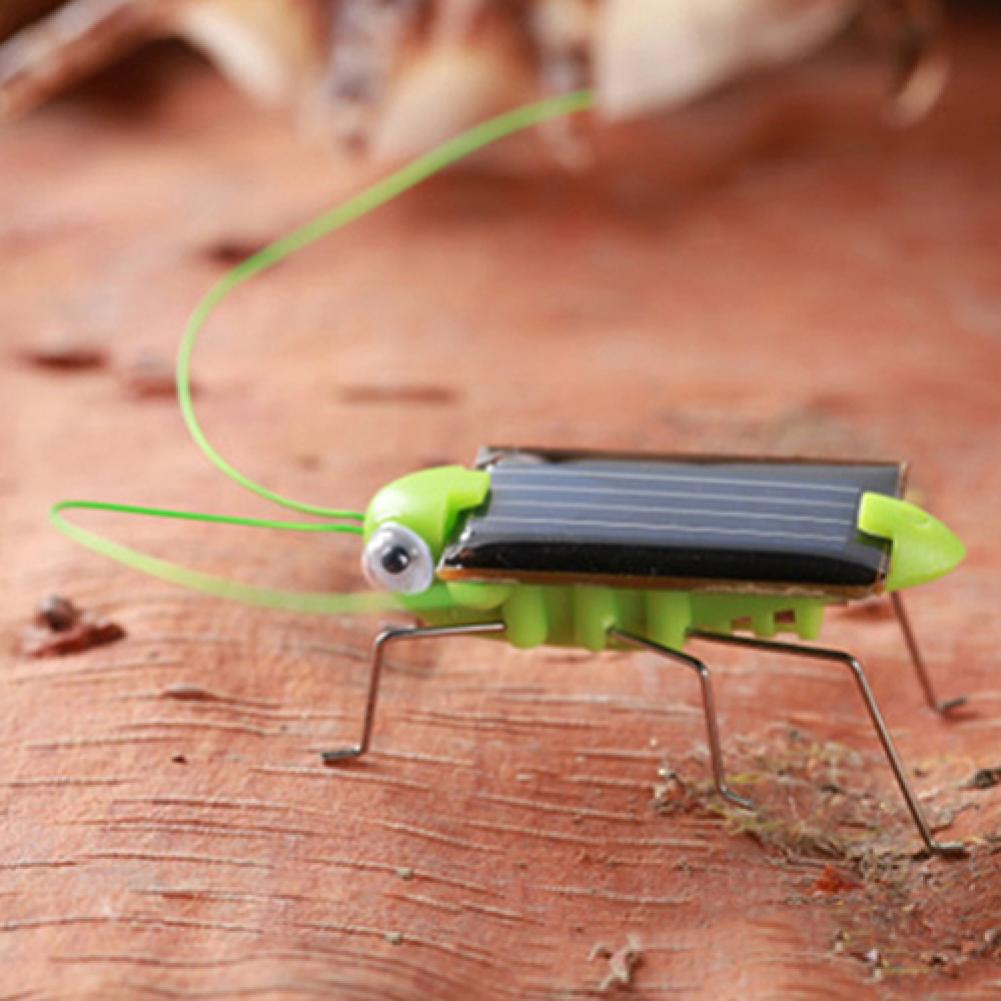 Fun Solar Power Robot Insect Locust Grasshopper Ki... – Vicedeal