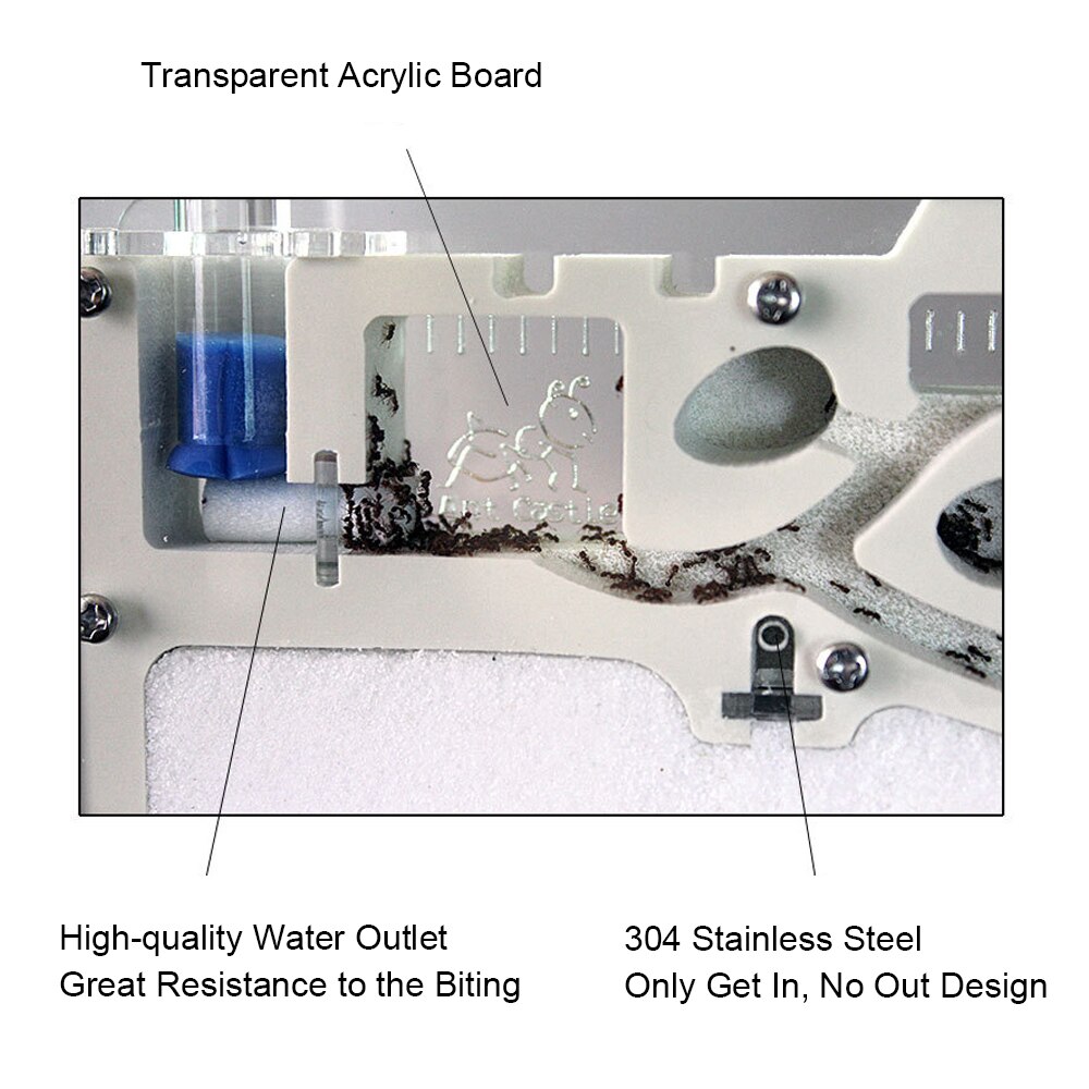 Ant Sand Castle Nest Acrylic Box Anthill Workshop ... – Grandado