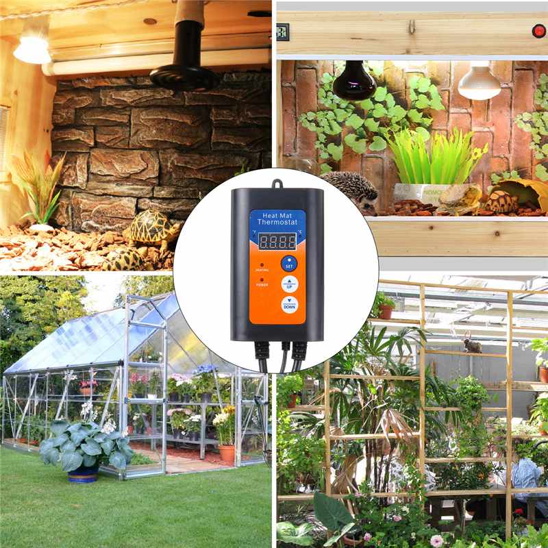 220V 1000W Plant Greenhouse Digital Temperature Co... – Grandado