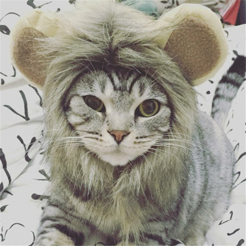 Grappige Leuke Huisdier Kostuum Cosplay De Leeuw K... – Grandado