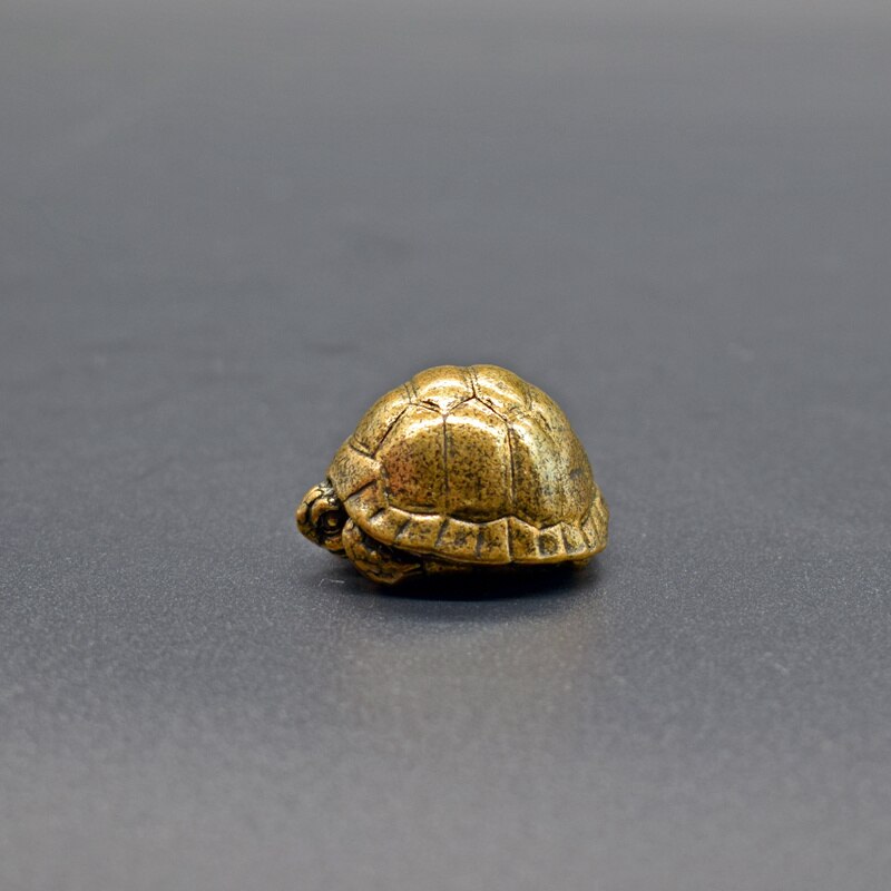 Pure Brass Office Tortoise Desktop Lucky Decoratio... – Grandado