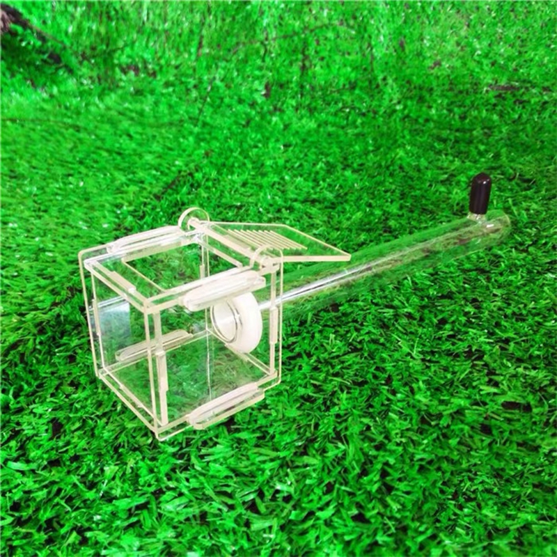 Mini Ant Farm Clear Glazen Buis Acryl Box Mier Nes... – LovingPrices