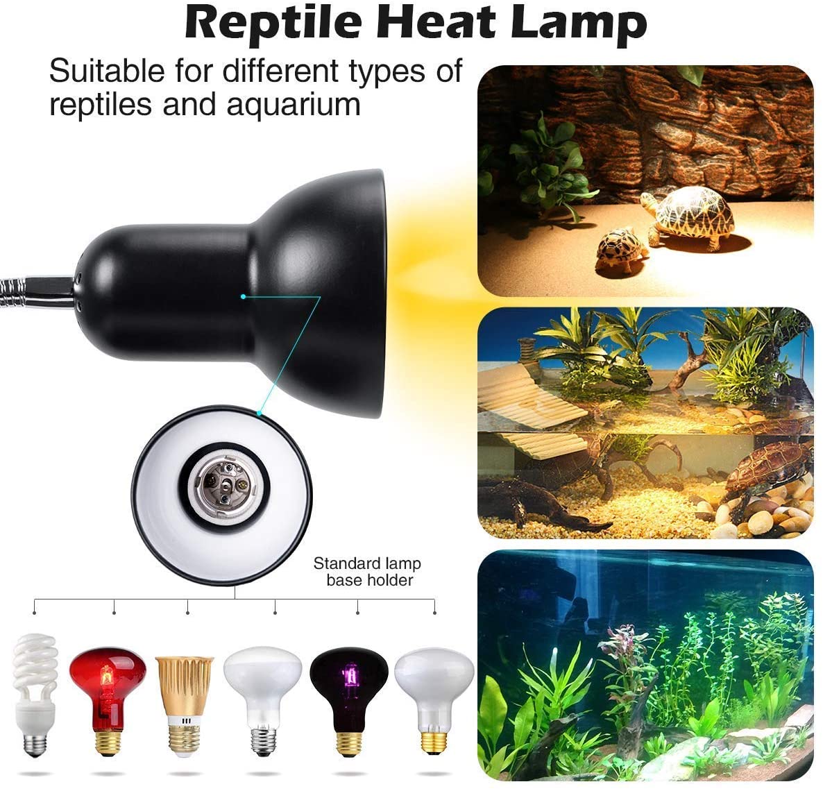 BENE Reptile Heating Basking Lamp, Bearded dragon ... – Grandado