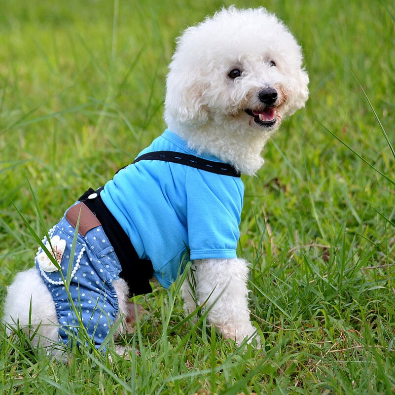 Luxe huisdierproducten voor honden lente zomer ves... – Vicedeal