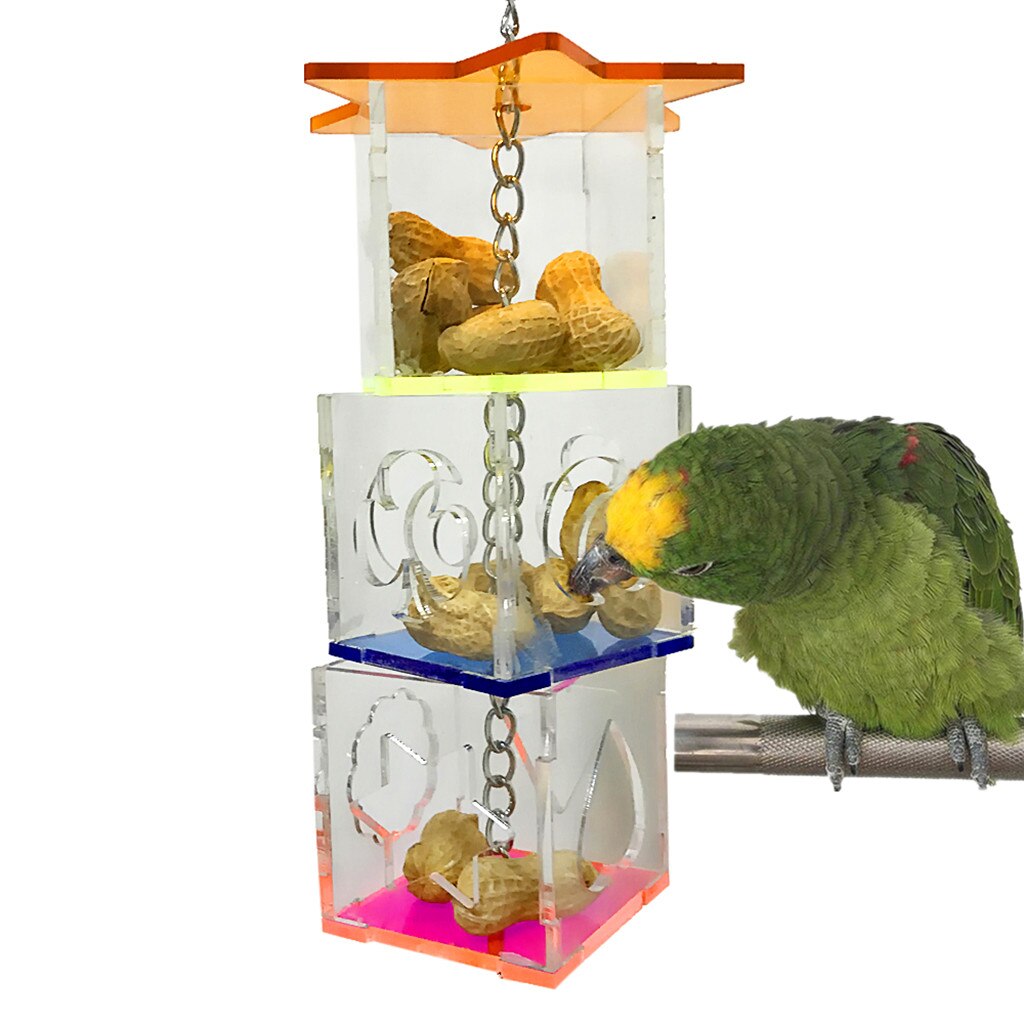 Transparent 3 Layer Parrots Food Feeder Hanging Pa... – Vicedeal