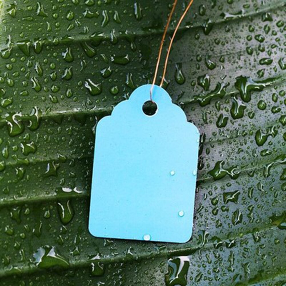 100Pcs pack Grape Labels Melon Fruit Tags Multifun... – Grandado