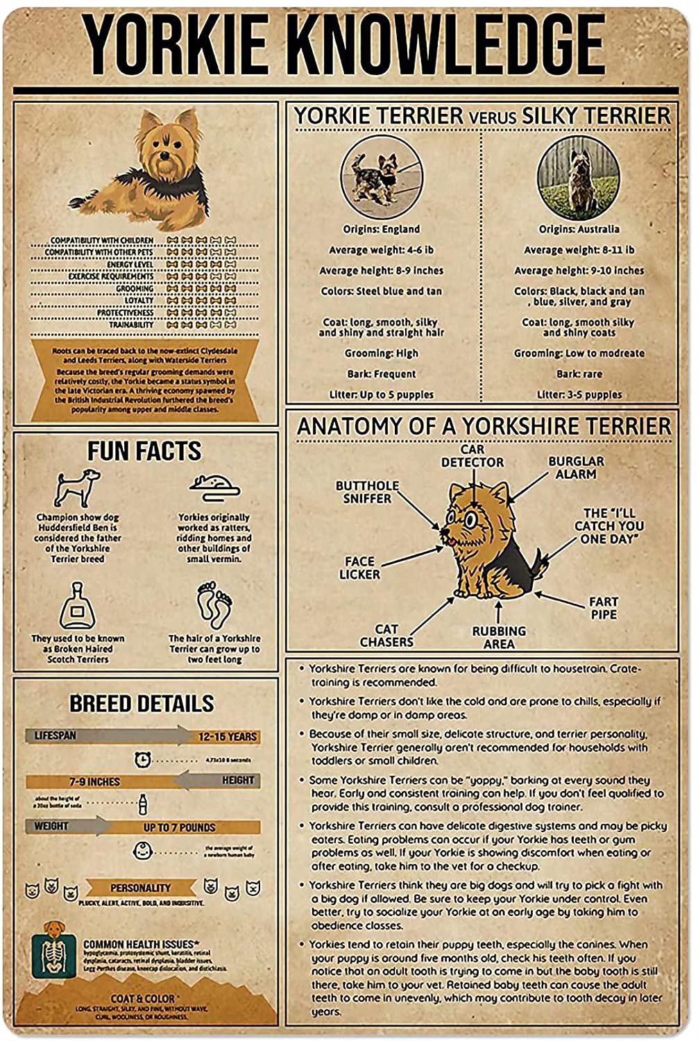 Dog Anatomy Metal Tin Sign Australian Cattle Dog K... – Grandado