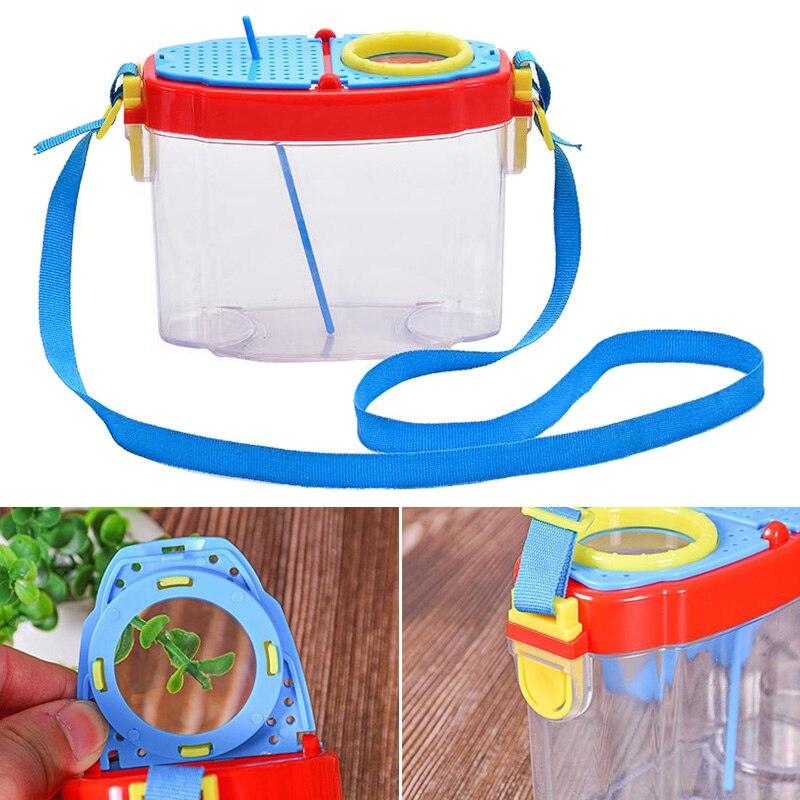 Critter Barn Habitat for Indoor/Outdoor Insect Col... – Grandado