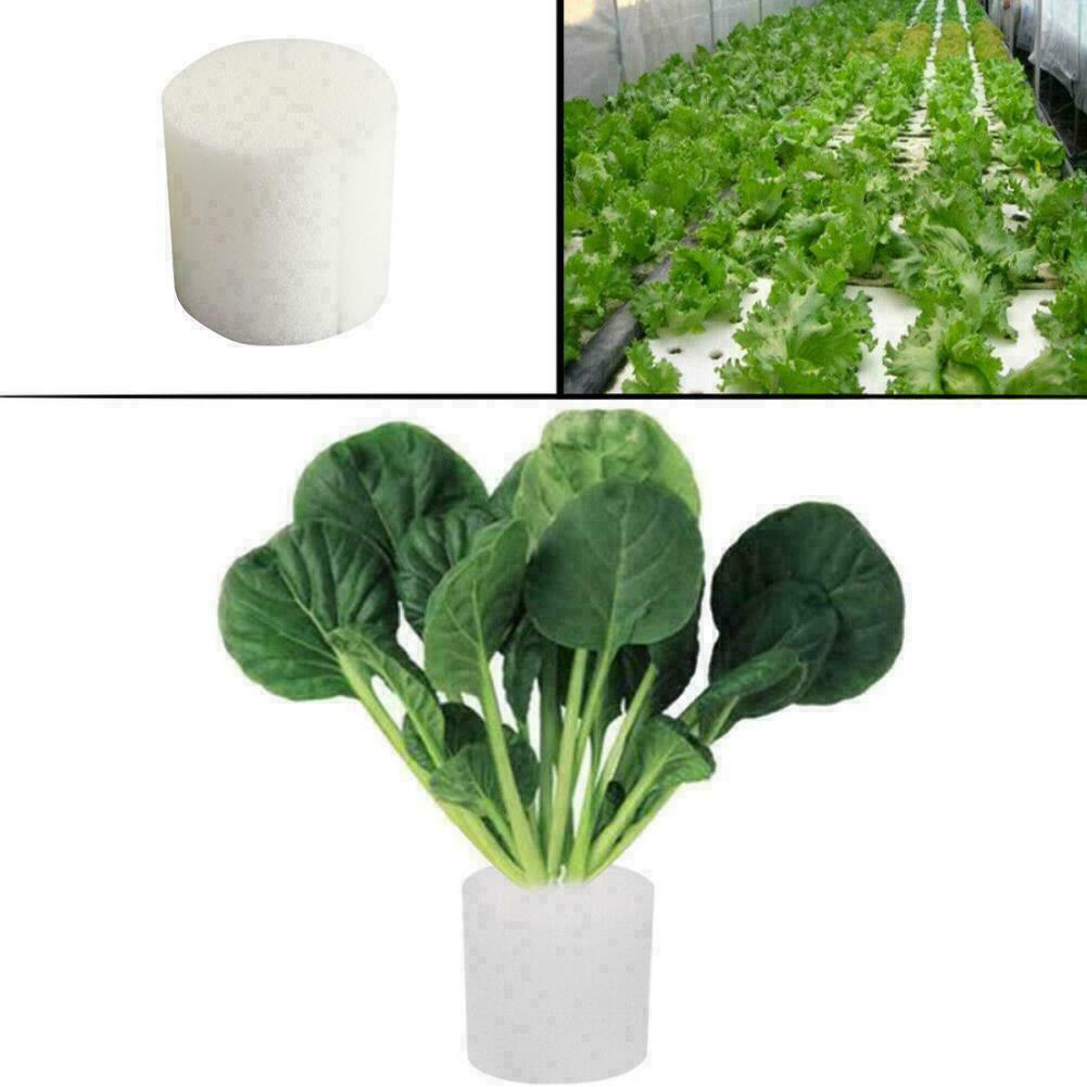 100pcs Planting Hydroponic Sponge Soilless Cultiva... – Grandado