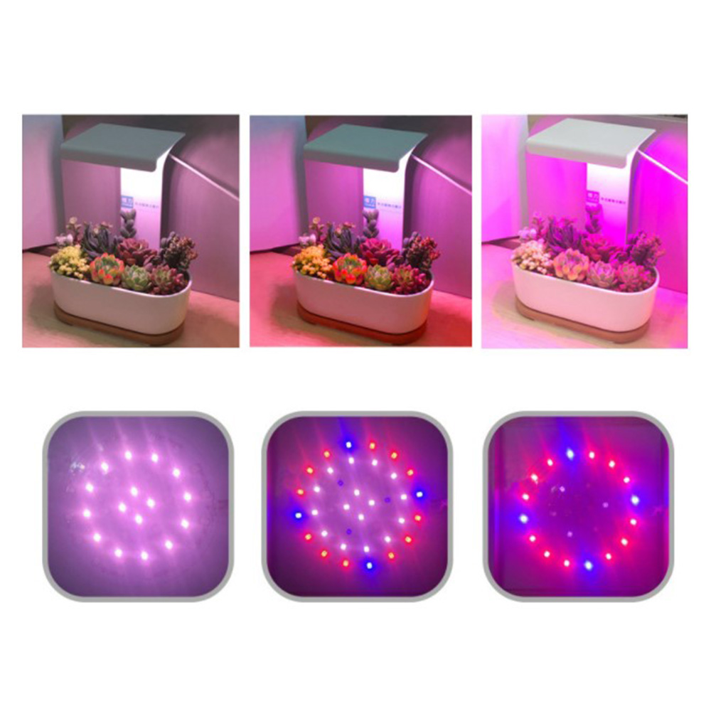 Desktop Plant Growth Light USB LED Plant Photosynt... – Grandado
