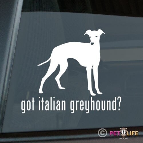 Kreeg Italiaanse Windhond Sticker Gestanst Vinyl-I... – LovingPrices