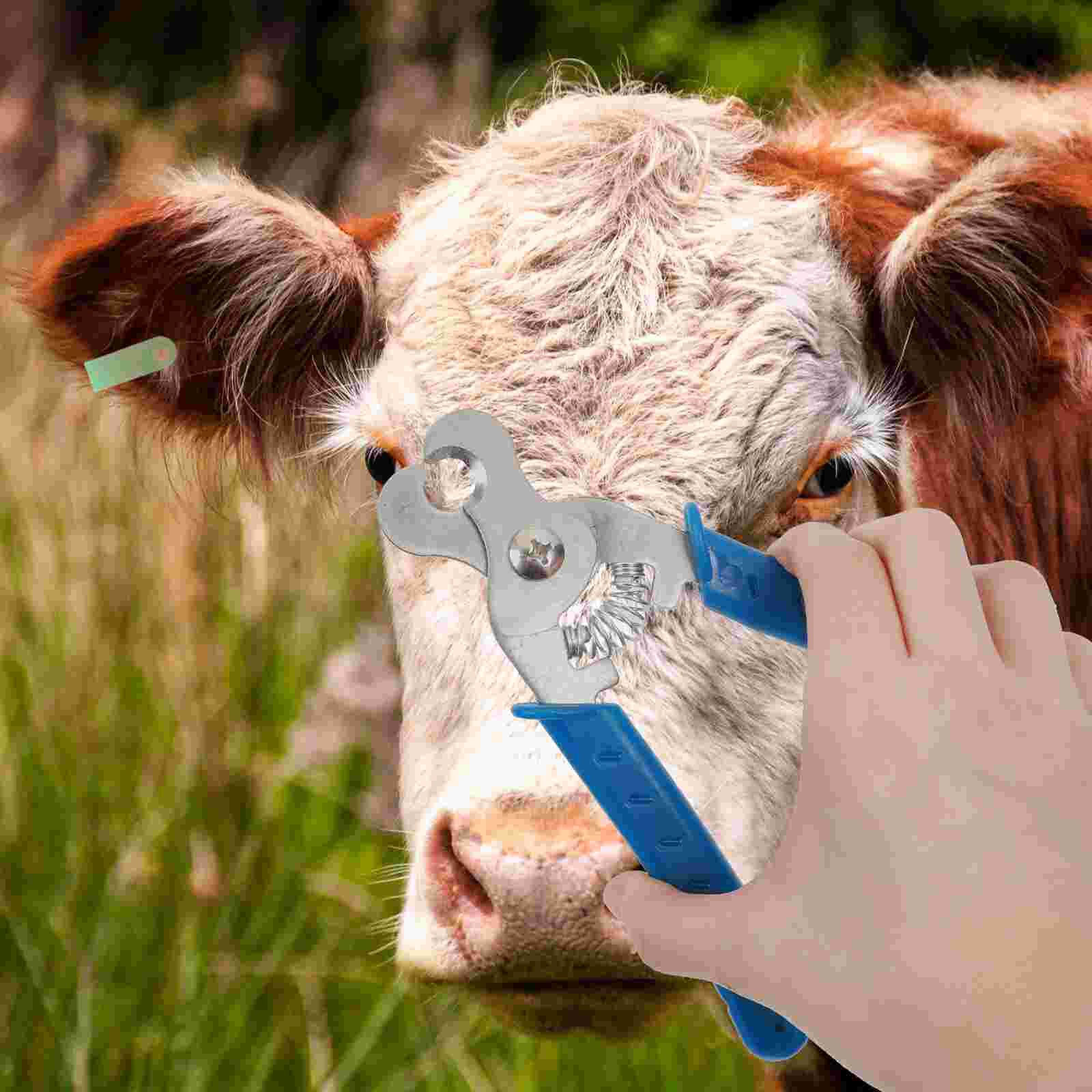 1pc Ear Tag Removal Forcep Ear Tag Remover Stainle... – Grandado