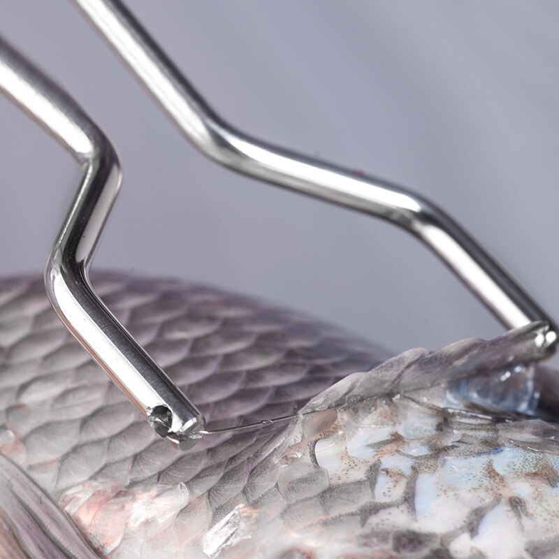 Stainless Steel Scales, Scraping Tools, Household ... – Grandado