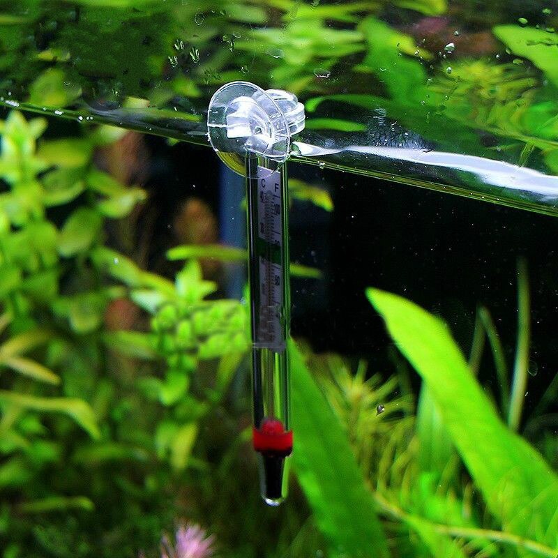AQUARIUM SUBMERSIBLE GLASS DIGITAL THERMOMETER TEM... – Vicedeal