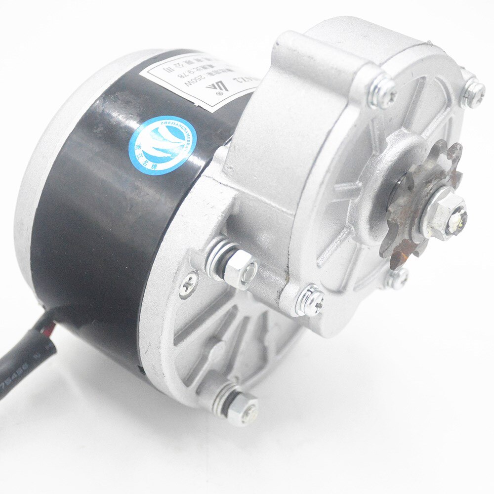 24V 250W Brushed Motor MY1016Z2 Engine for electri... – Grandado