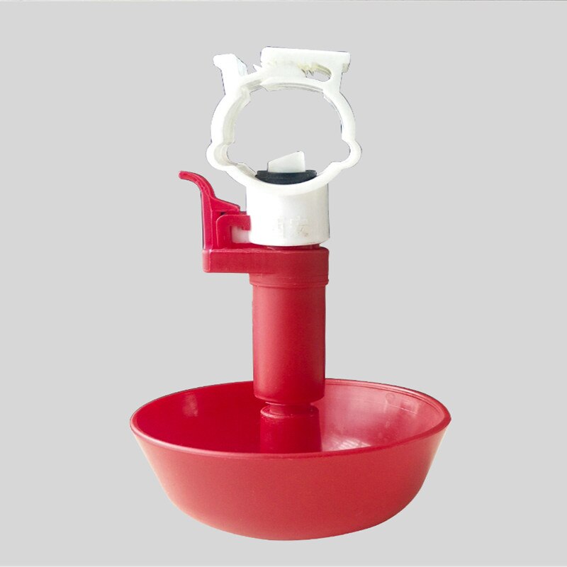 Extra Dikke Duif Water Feeder Automatische Fontein... – Vicedeal