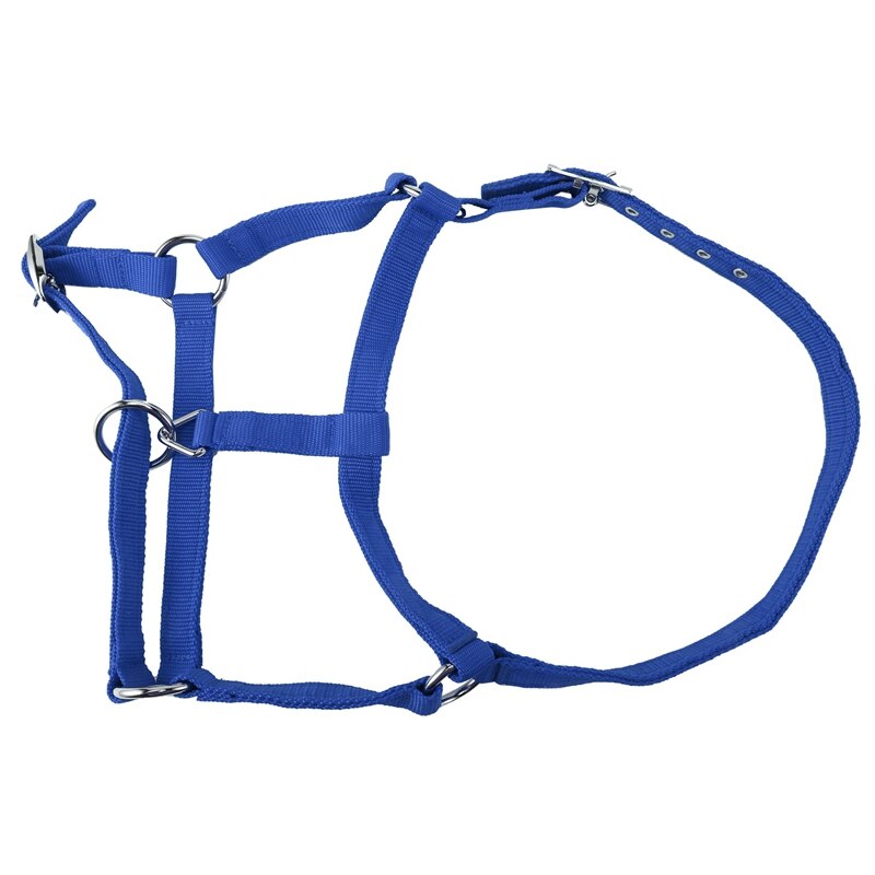 Double Layered Padded Horse Halter Practical Thick... – Grandado
