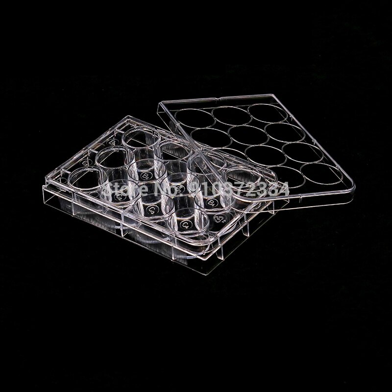 5pcs 6/12/24/48/96/384 hole Disposable Cell cultur... – Grandado