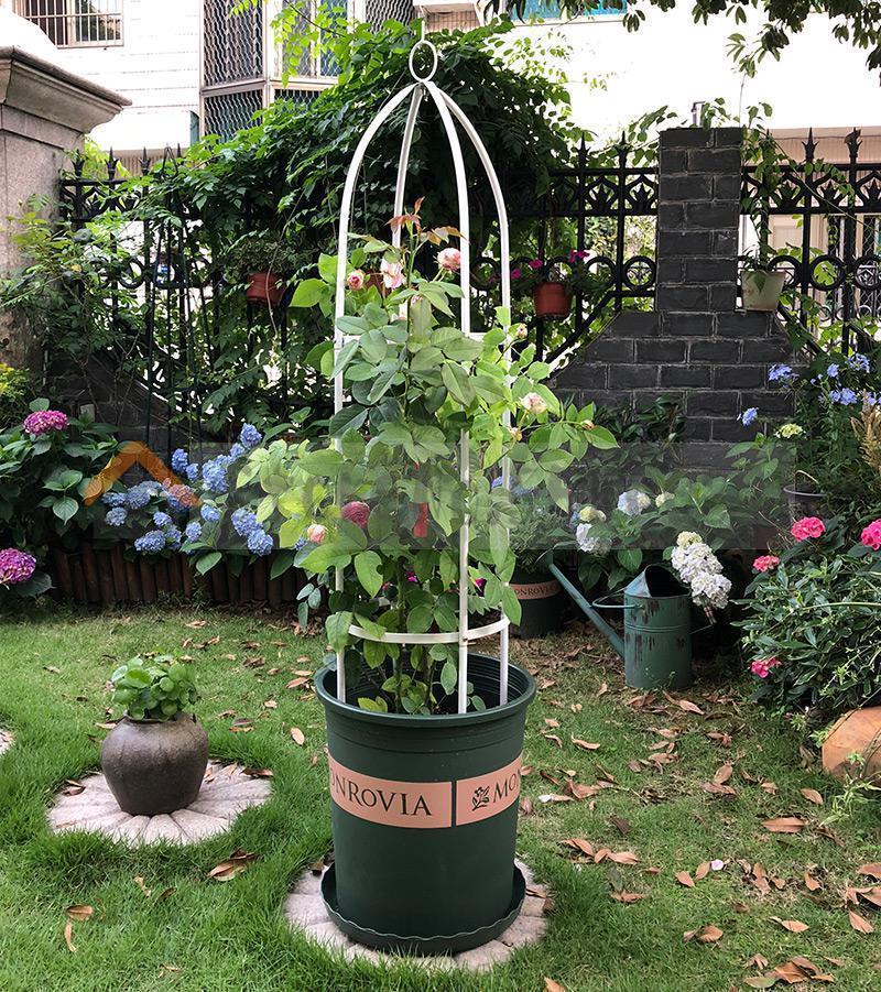 Column flower stand climbing vine gardening suppor... – Vicedeal