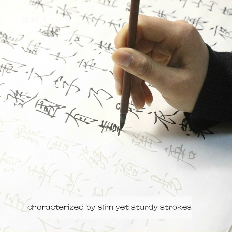 Calligraphy Copybook Set Chinese The Thousand Char... – Vicedeal